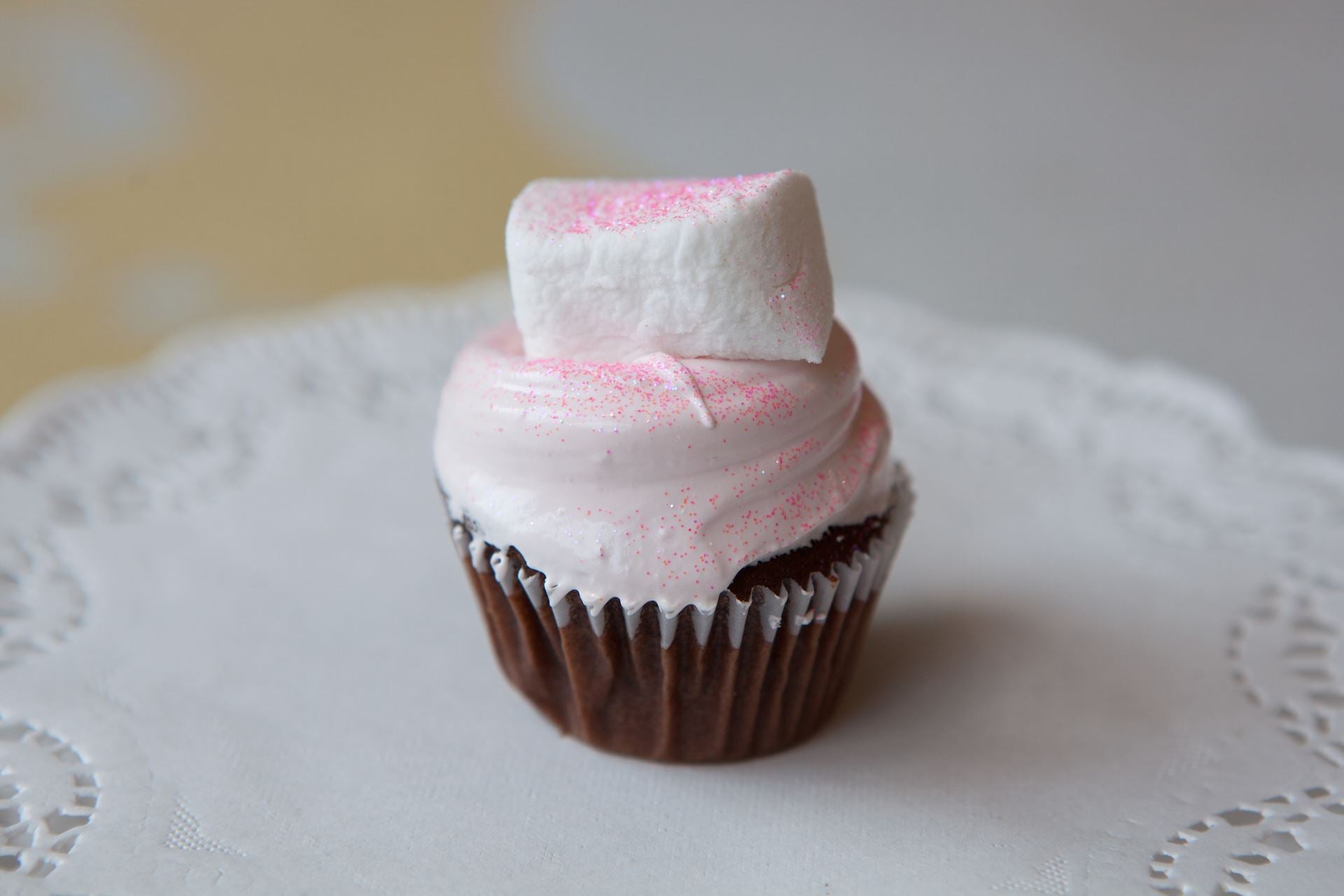 Mini Chocolate Marshmallow Cupcake